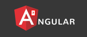 Angular 7 Flash Messages - Therichpost