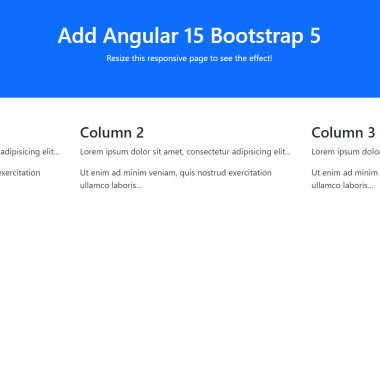 Angular 15 Tutorials | Learn Angular Programming - TheRichPost