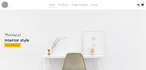 How To Build An E-Commerce Site With Angular 16+? – Therichpost