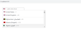 Best Practices Send Mail from Localhost in Laravel - Therichpost