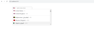 Angular 17 Input type phone number with country codes and country flags Working Example ...