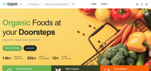 Angular Ecommerce Templates - TheRichPost