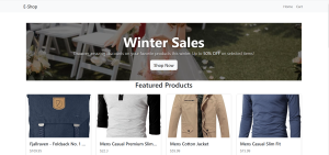 Creating Ecommerce Website in Angular 19 with Bootstrap 5 Part 1 ...
