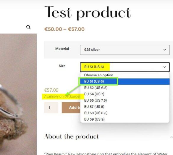 How To display out-of-stock product variations in a dropdown list in WooCommerce? - Therichpost